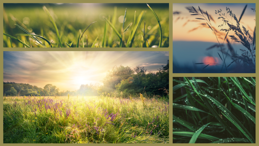 Will Regenerative Agriculture be the hottest trend in 2023? - Roots of ...